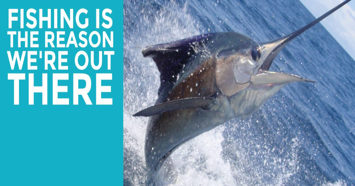 BARCHELOR PARTIES IN PUERTO VALLARTA - Brunos Fishing